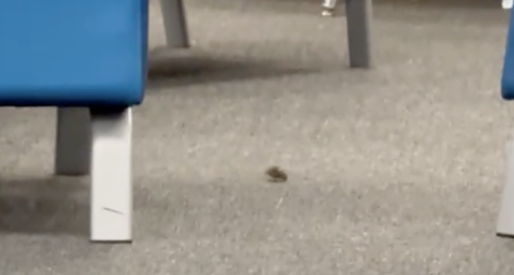 Eek – Inside – Middlesex